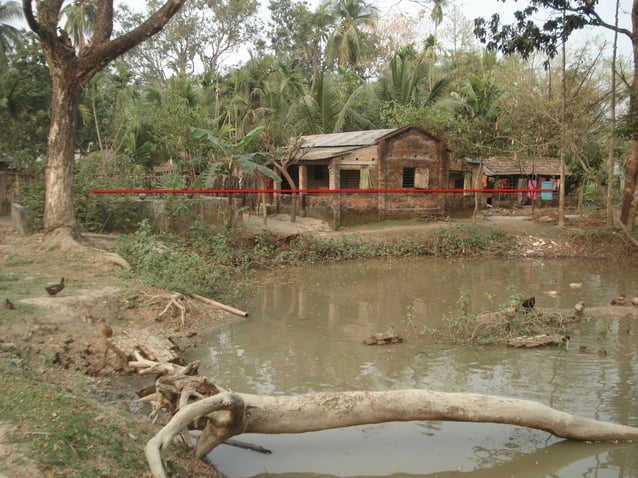 Disability disasters and empowerment | PPT