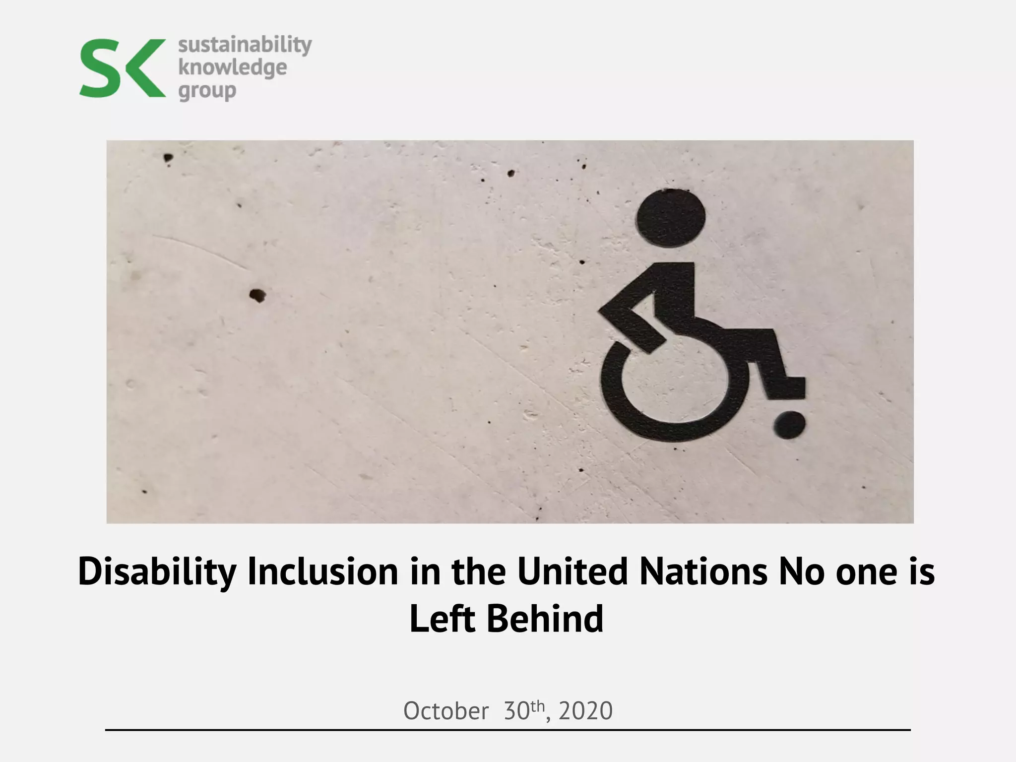 Disability Inclusion in the United Nations: No one is Left Behind | PPT