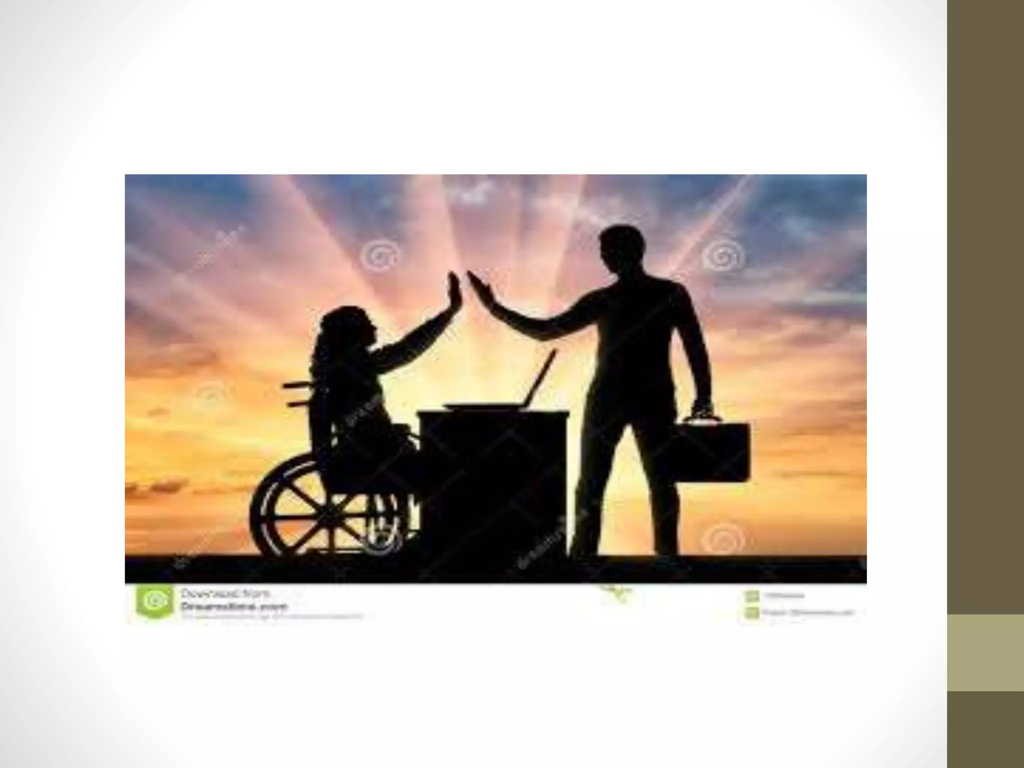 Disability Schemes | PPTX