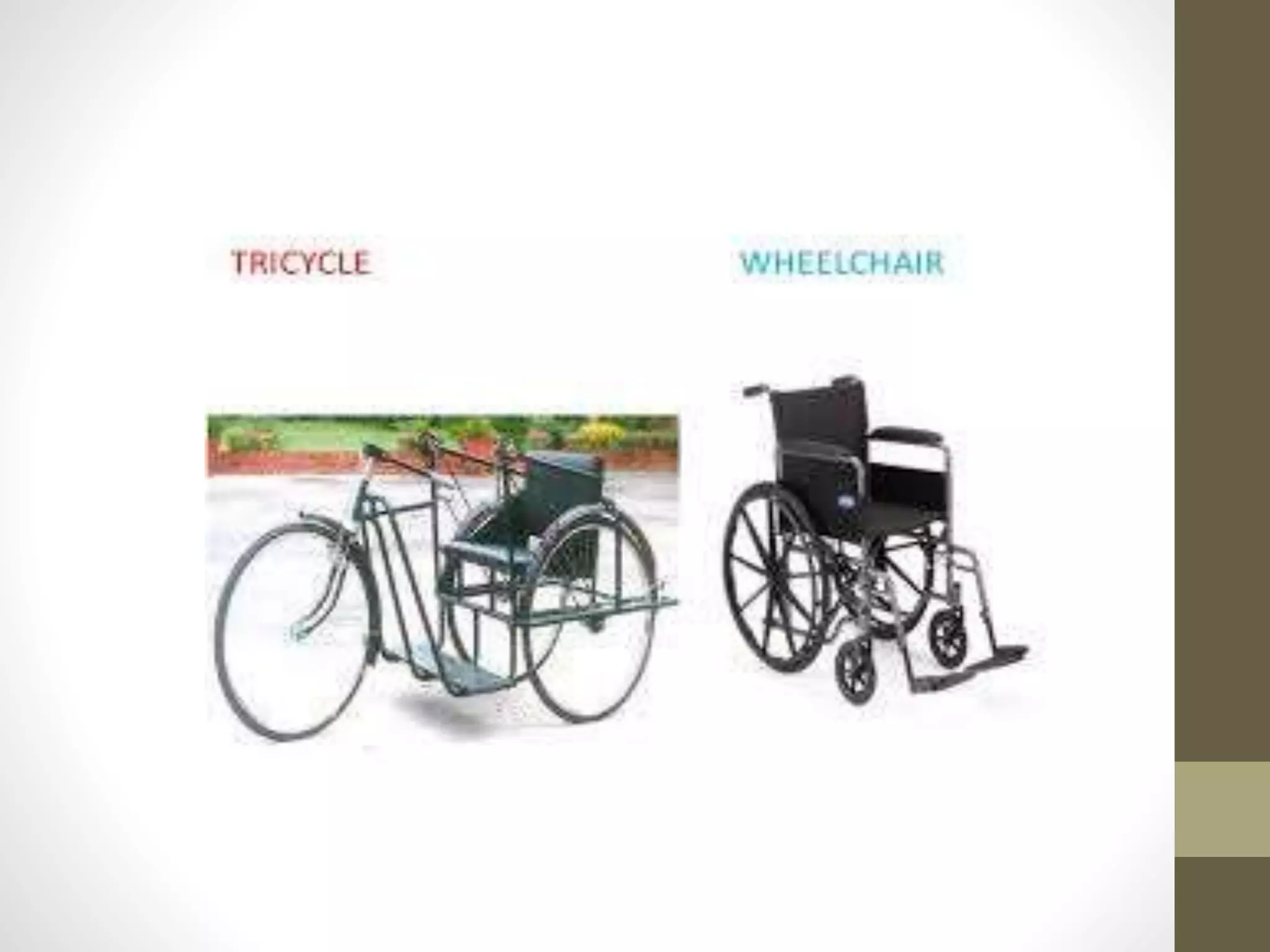 Disability Schemes | PPTX