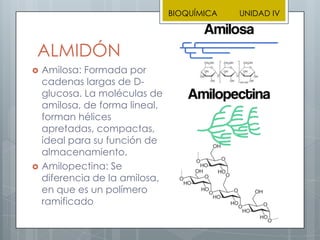 química de los carbohidratos | PPTX