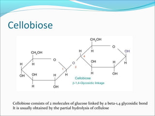 Disaccharides | PPT
