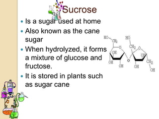 Disaccharides | PPTX
