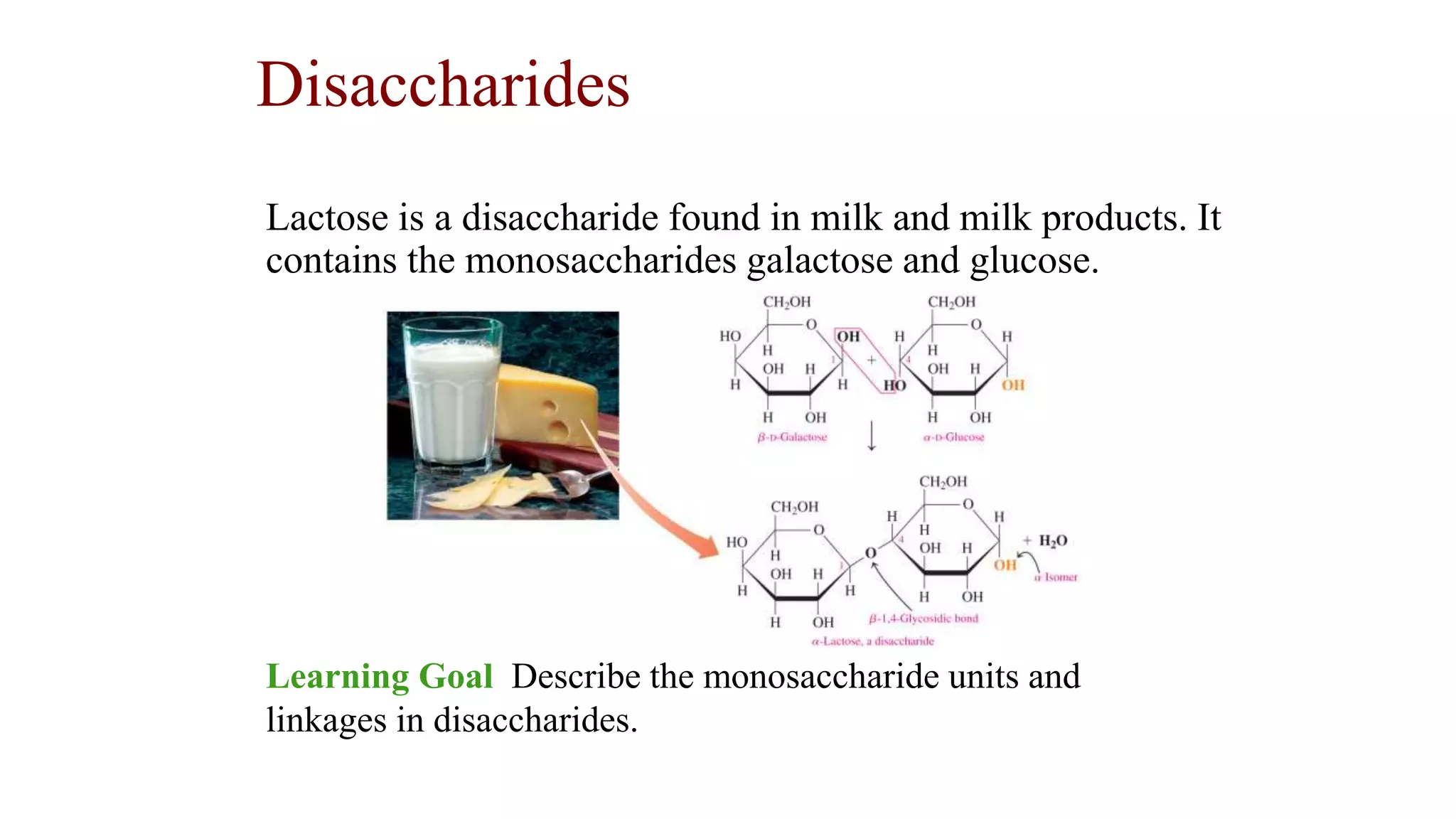 Disaccharides | PPTX