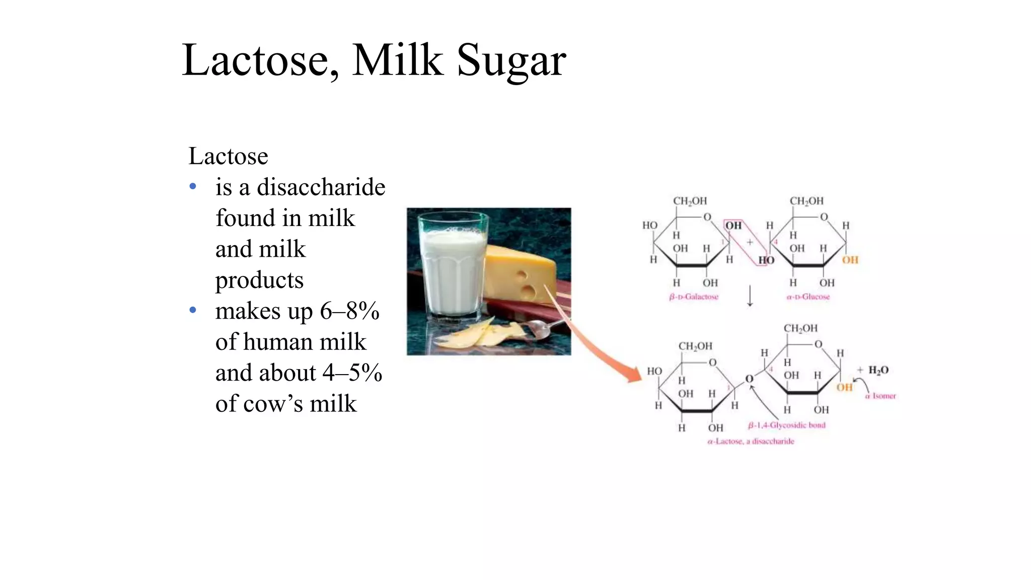 Disaccharides | PPTX