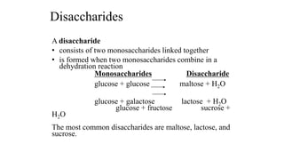 Disaccharides | PPTX