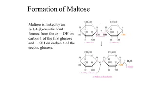 Disaccharides | PPTX