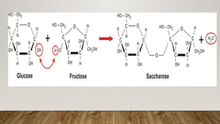 DISACCHARIDES (REDUCING & NON- REDUCING SUGARS).pptx