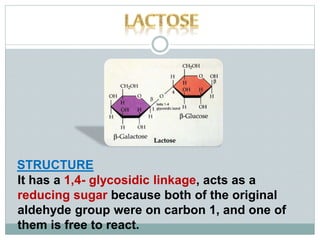 Structure Of Disaccharides