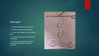Disachharides with structures and functions.pptx