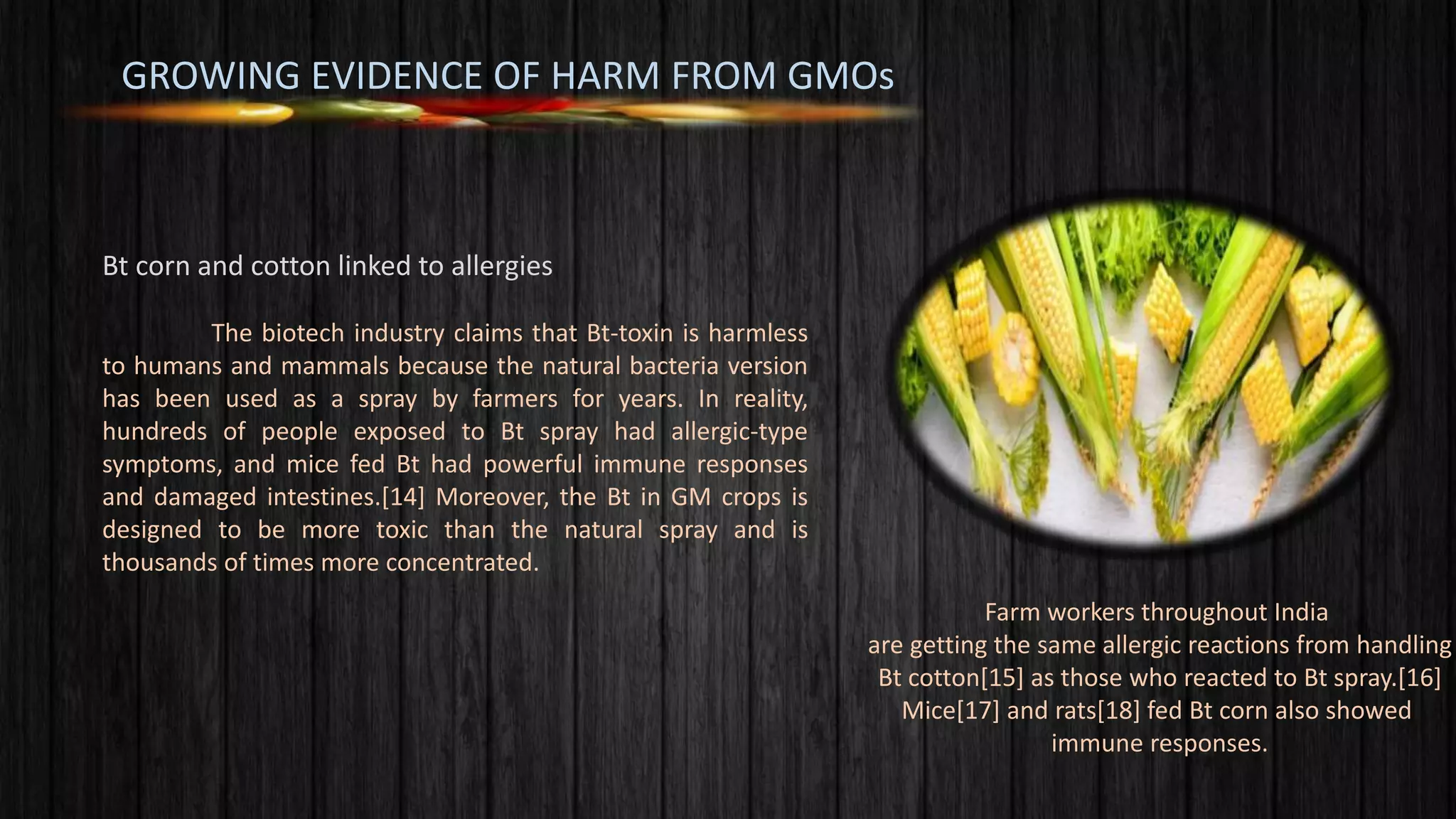 Disadvantages of GMOs | PPTX