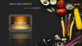Disadvantages of GMOs | PPTX