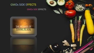 Disadvantages of GMOs | PPTX