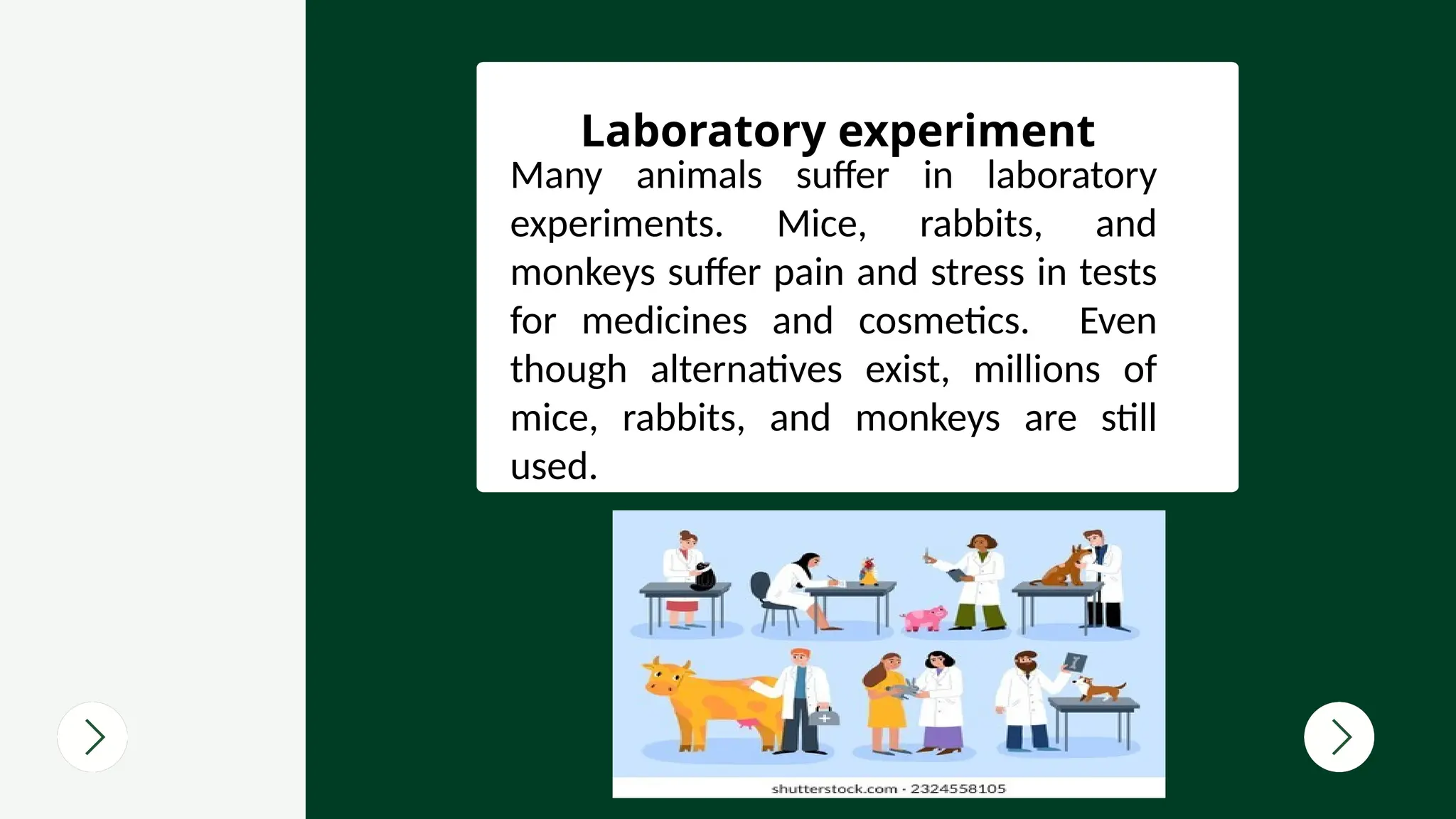 Disadvantages of humans for animals (1).pptx