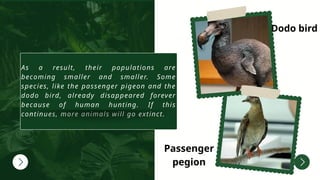 Disadvantages of humans for animals (1).pptx
