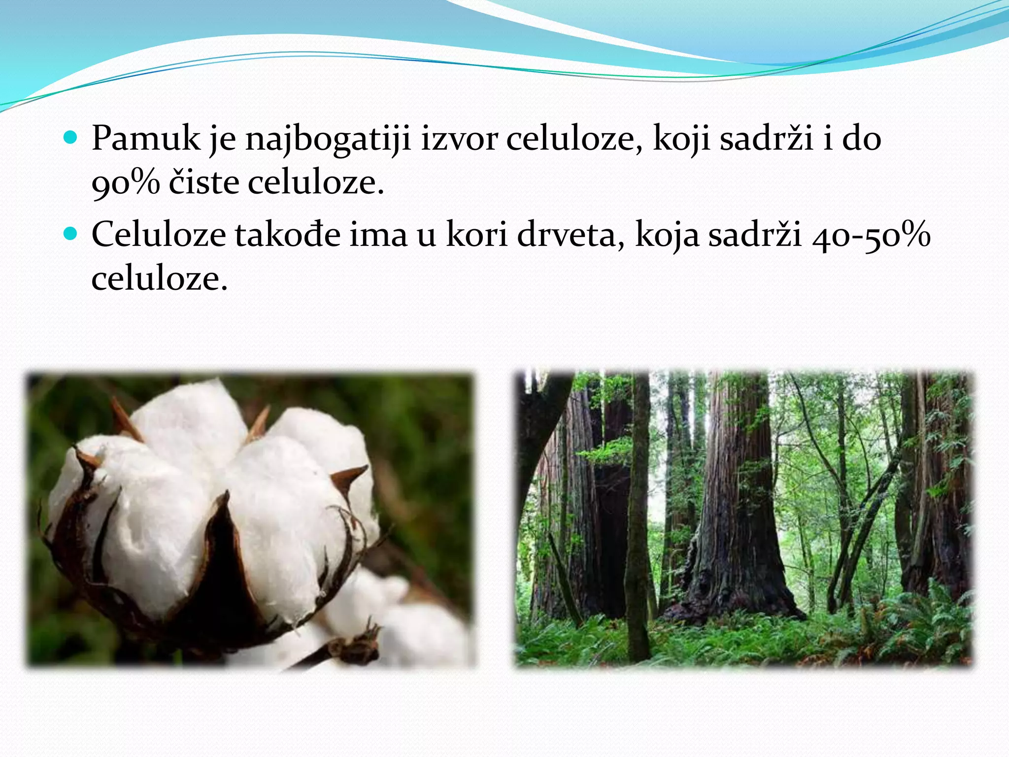 Disaharidi i polisaharidi | PPTX