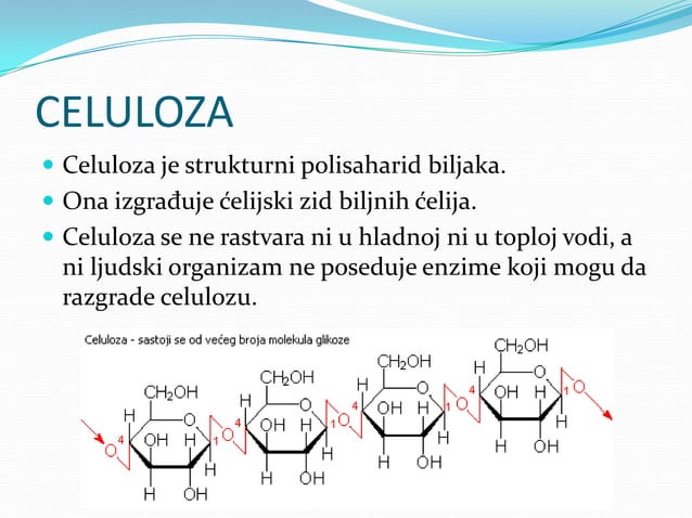 Disaharidi i polisaharidi | PPTX