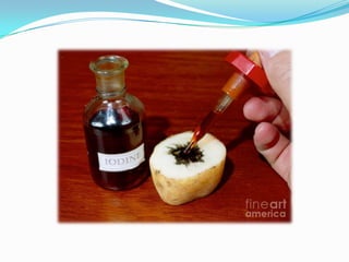 Disaharidi i polisaharidi | PPTX