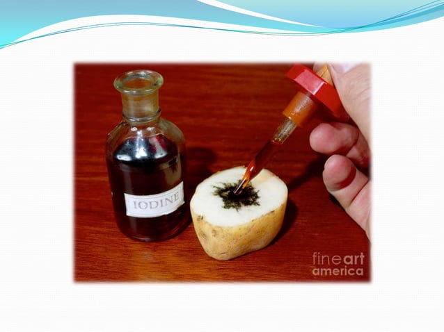 Disaharidi i polisaharidi | PPTX