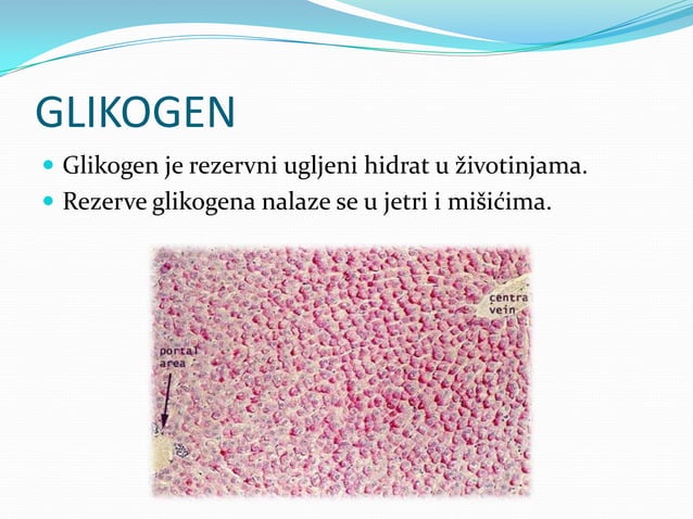 Disaharidi i polisaharidi | PPTX