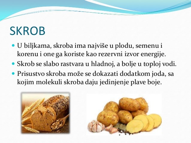 Disaharidi i polisaharidi