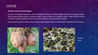 Disaharidi i polisaharidi | PPTX