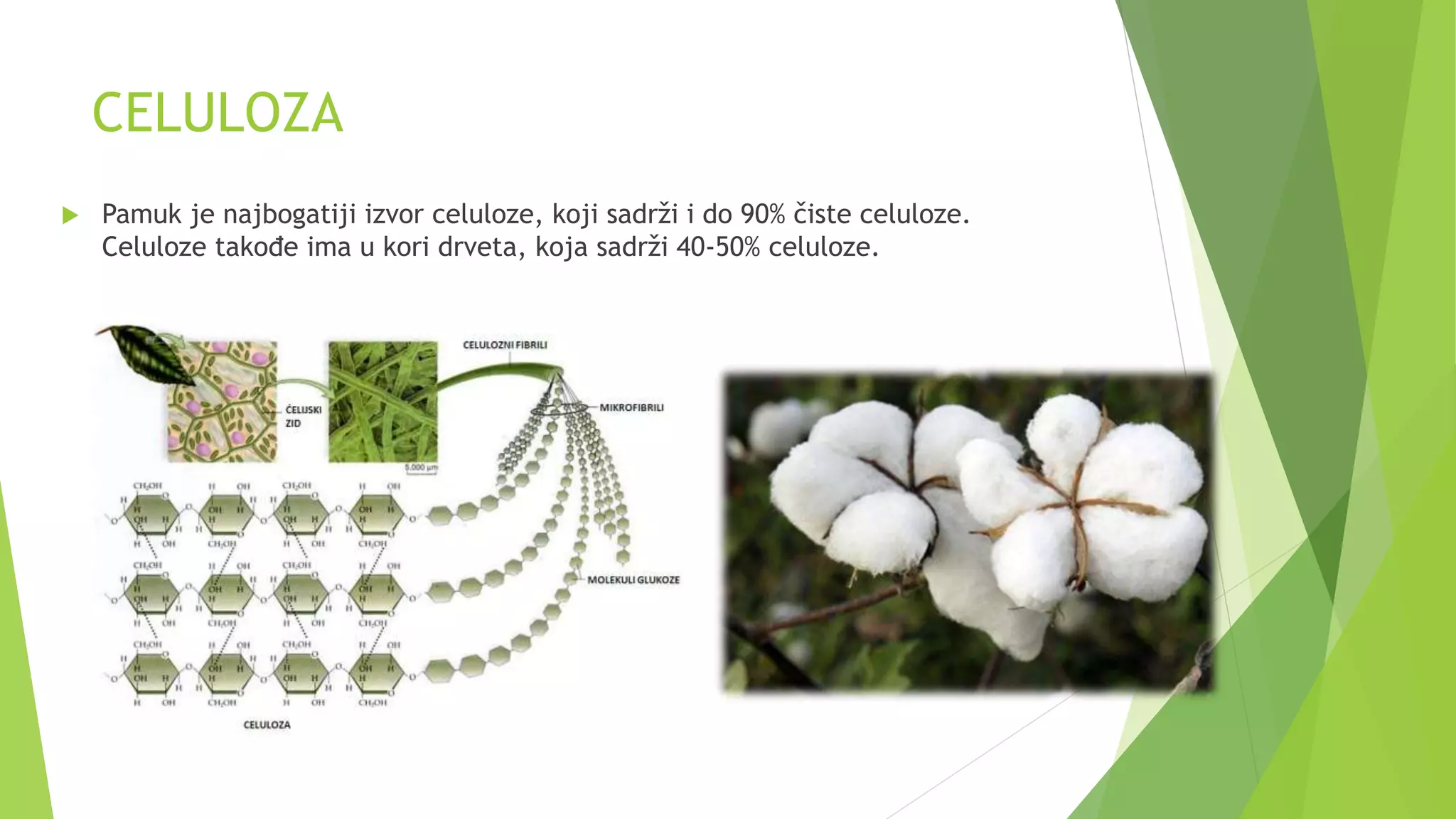 Disaharidi i polisaharidi.ppt