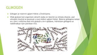 Disaharidi i polisaharidi.ppt