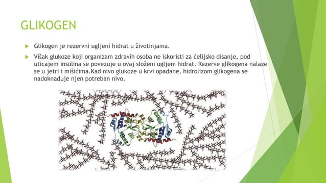 Disaharidi i polisaharidi.ppt