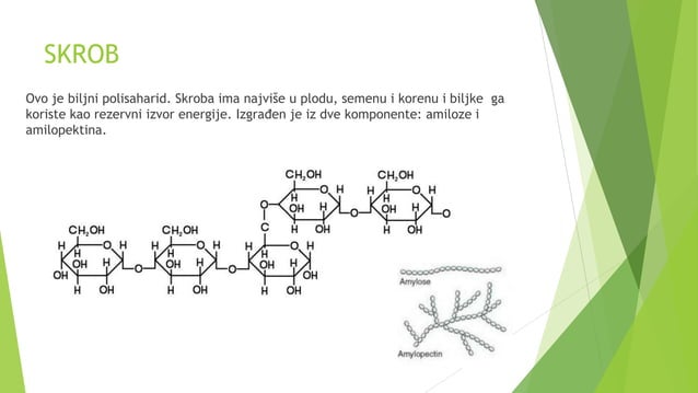 Disaharidi i polisaharidi.ppt