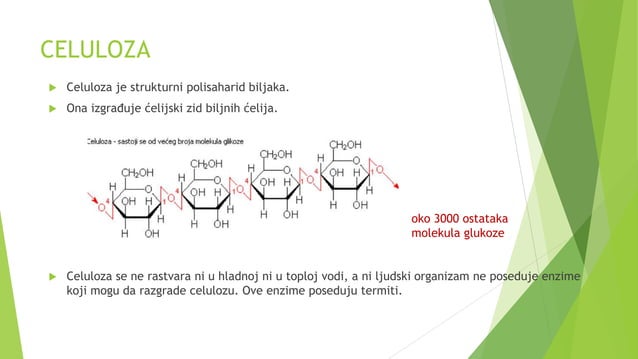 Disaharidi i polisaharidi.ppt