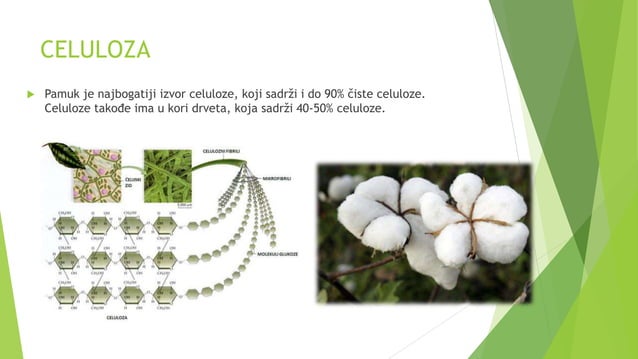 Disaharidi i polisaharidi.ppt