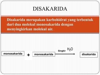 Disakarida | PPT