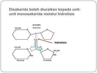 Disakarida | PPT