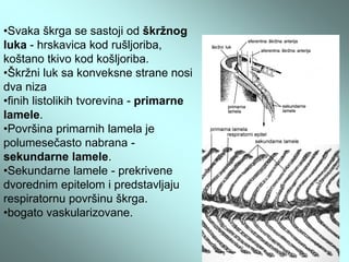 Disanje | PPT