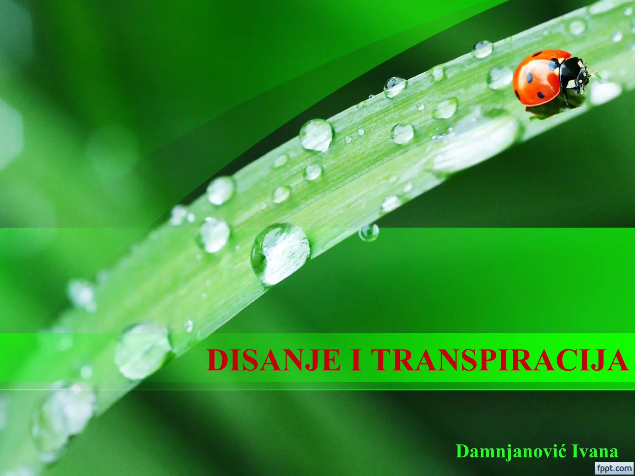 Disanje i transpiracija | PPT