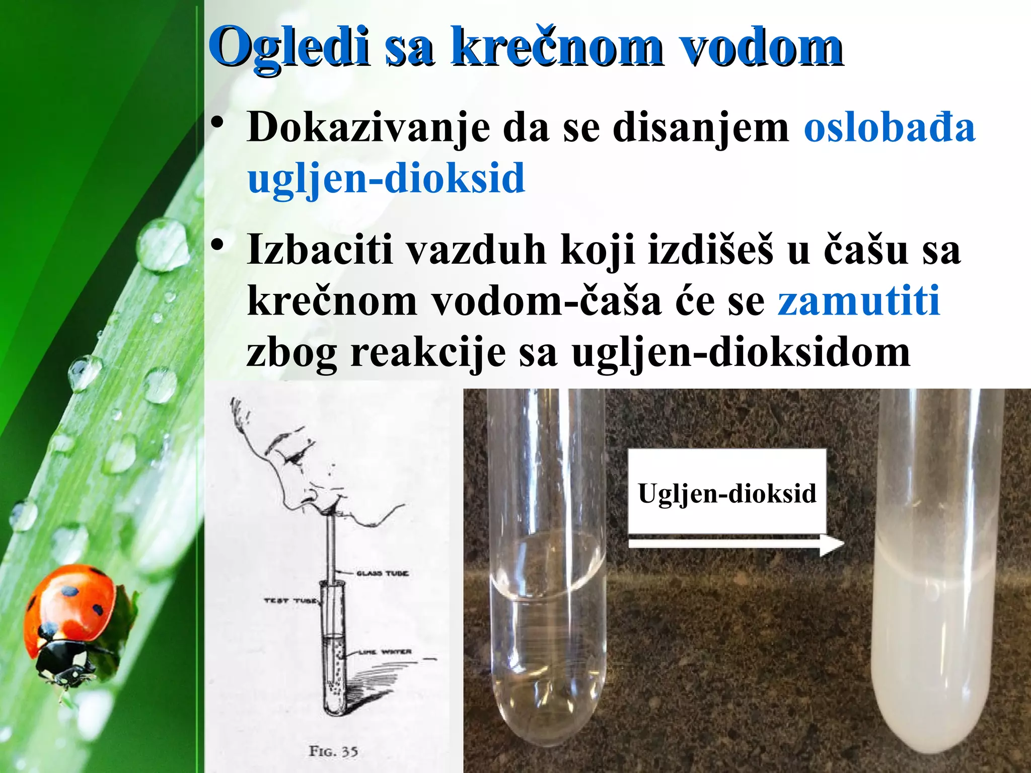 Disanje i transpiracija | PPT
