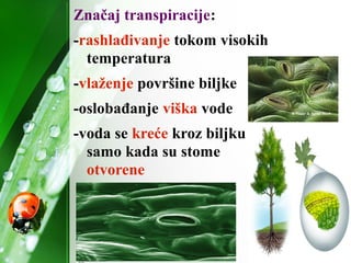 Disanje i transpiracija | PPT