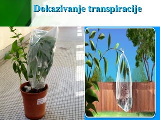 Disanje i transpiracija | PPT