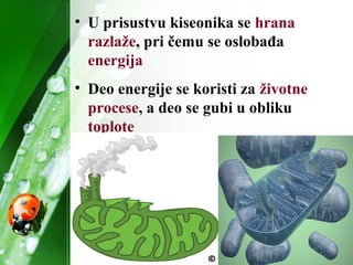 Disanje i transpiracija | PPT