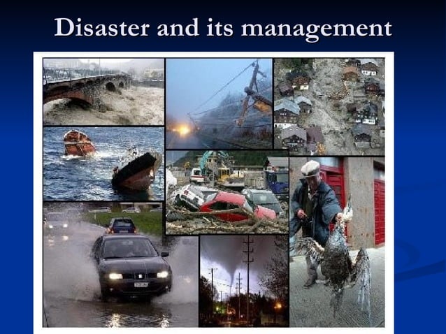 Disaster | PPT