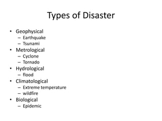 Disaster | PDF