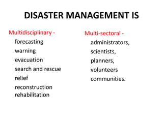 Disaster | PDF