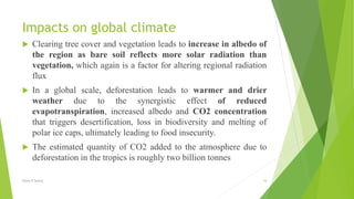 Deforestation -National Level and its Impacts | PPT
