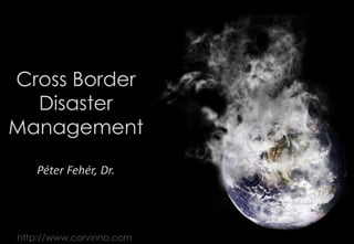 Disaster Management Summary For Web | PPT