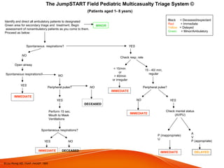 Disaster and field triaging ppw 2014 selva | PPT