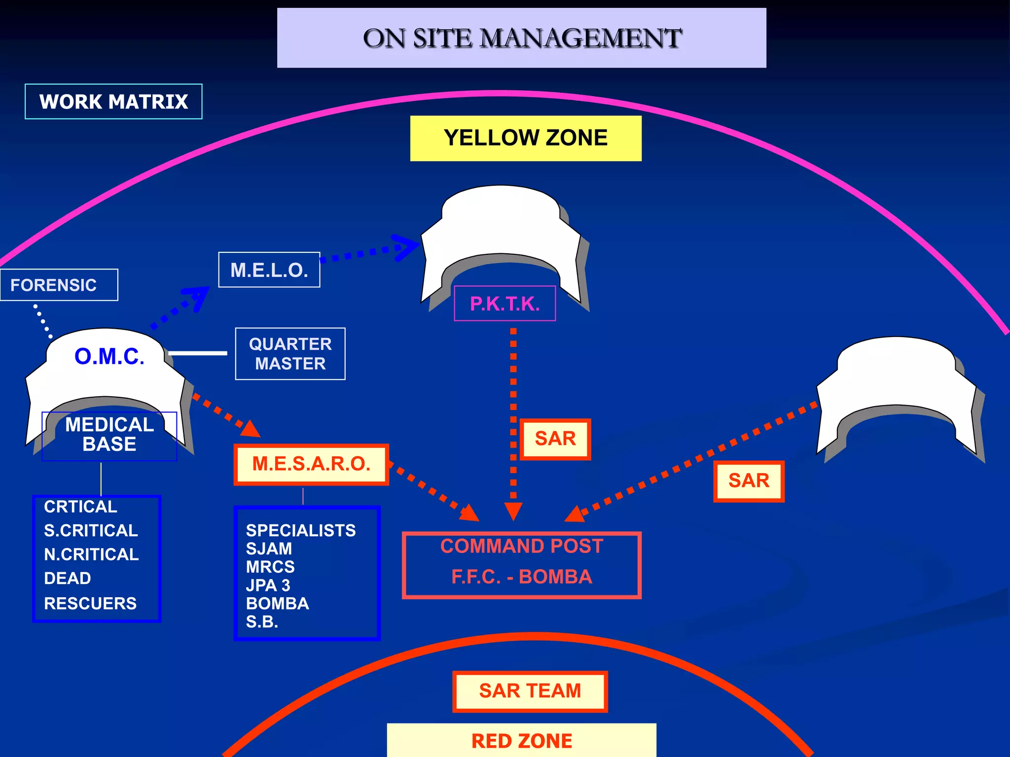 Disaster and Mass Casualty Incidents (updated 7th July 2020) | PDF