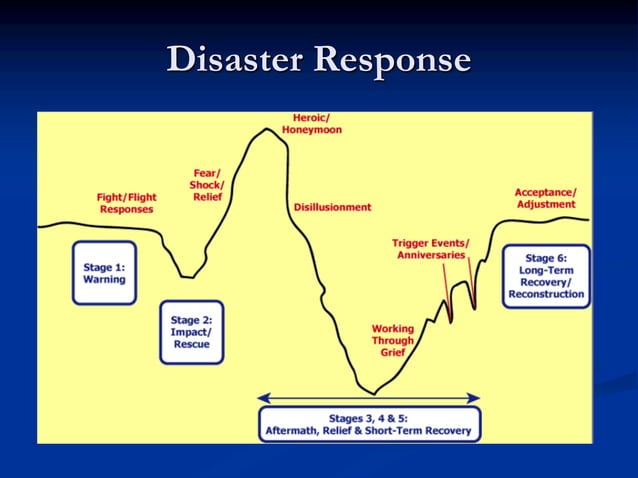 Disaster and Mass Casualty Incidents (updated 7th July 2020) | PDF ...