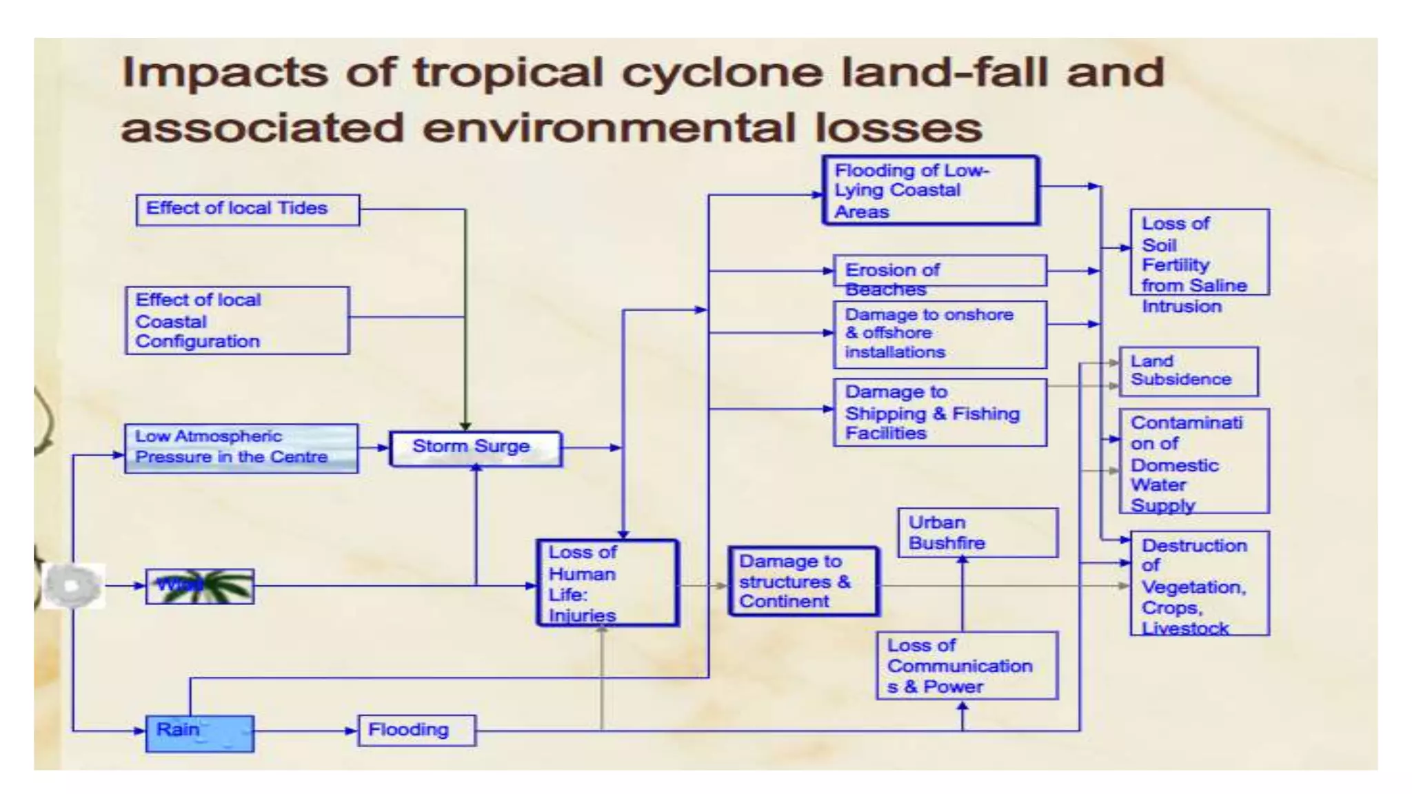 Disaster impacts | PPTX