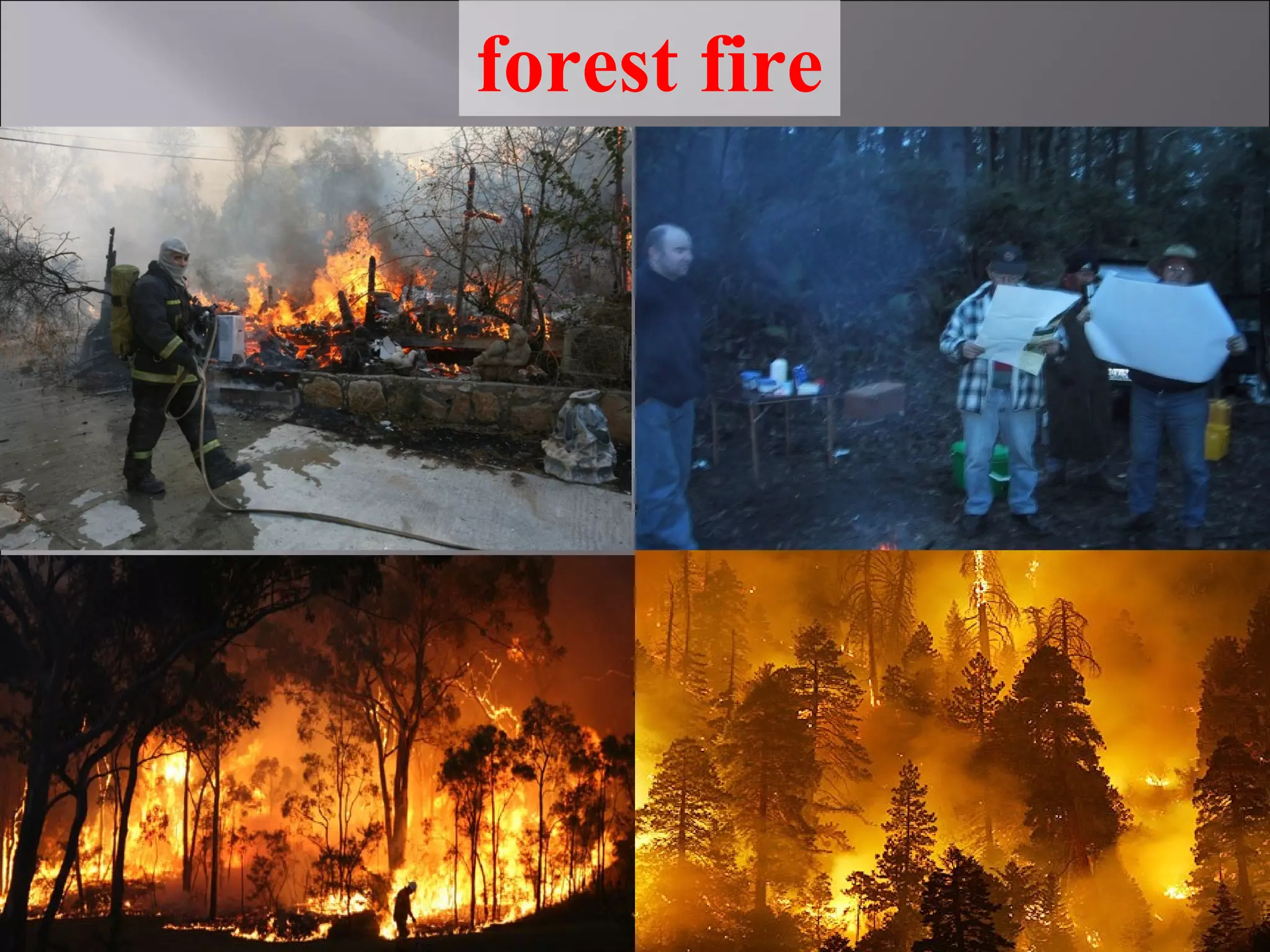 Heat Wave & Forest Fire Disaster Management PPT | PPT